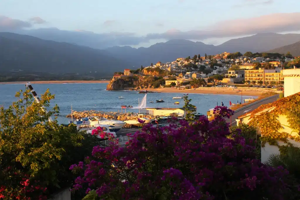 Marseille Propriano Ferry: Compare Prices & Book Now | 2025